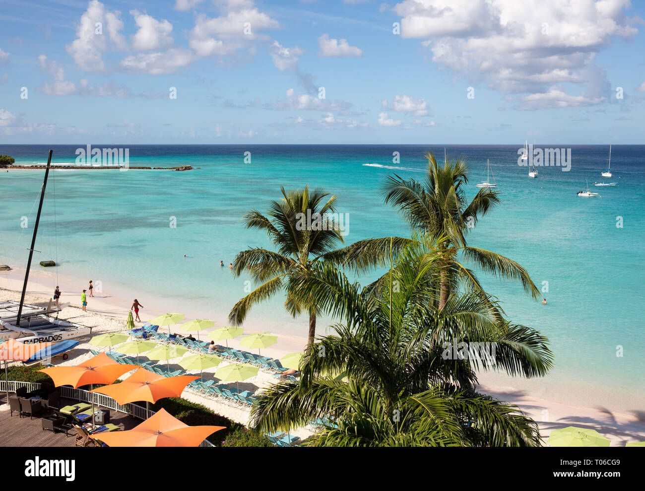 Carlisle bay barbados horse hi-res stock photography and images - Alamy