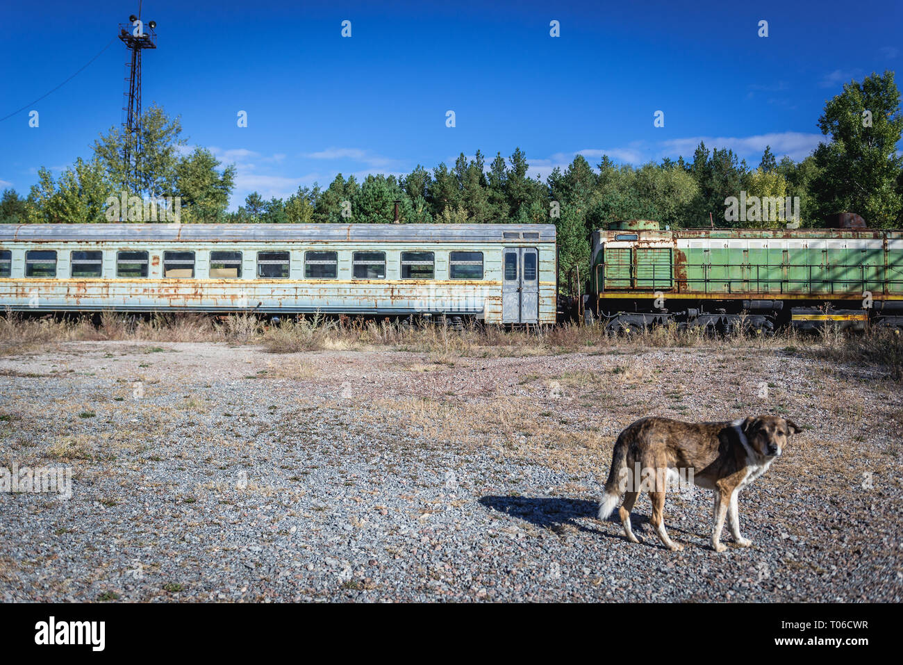 Old train in abandoned Yaniv town railway station, Chernobyl Nuclear ...