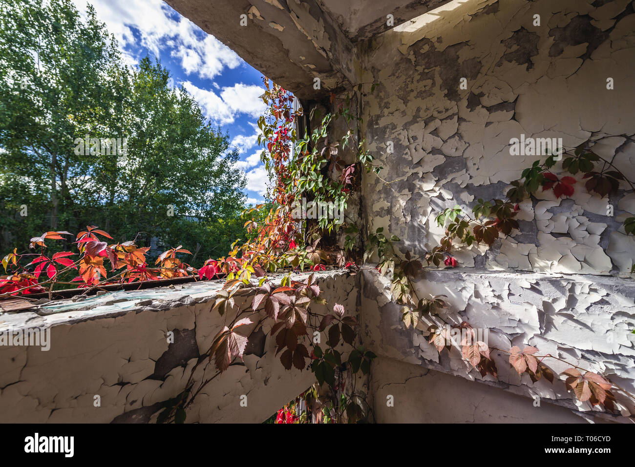 Overgrown staircase of abandoned Jupiter Factory in Pripyat ghost town ...