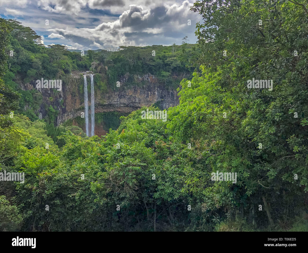 Jungle effect hi-res stock photography and images - Alamy