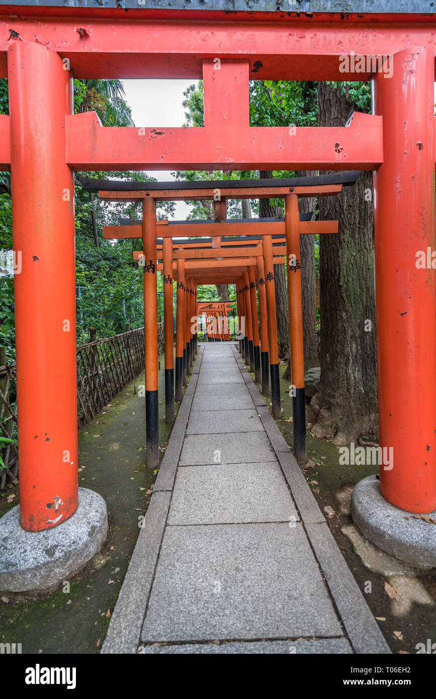 Tokyo - July 27, 2017: Torii gate path at Hanazono Inari Jinja shrine ...