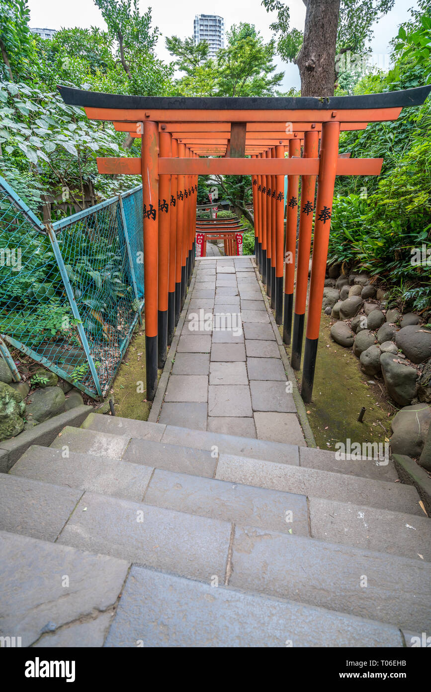 Tokyo - July 27, 2017: Path of Torii gates at Hanazono Inari Jinja ...