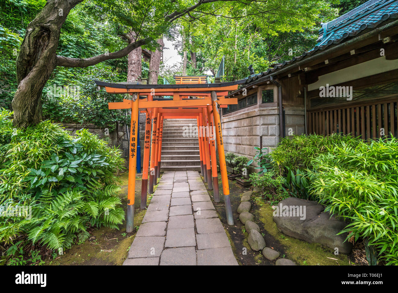 Tokyo - July 27, 2017: Path of Torii gates at Hanazono Inari Jinja ...