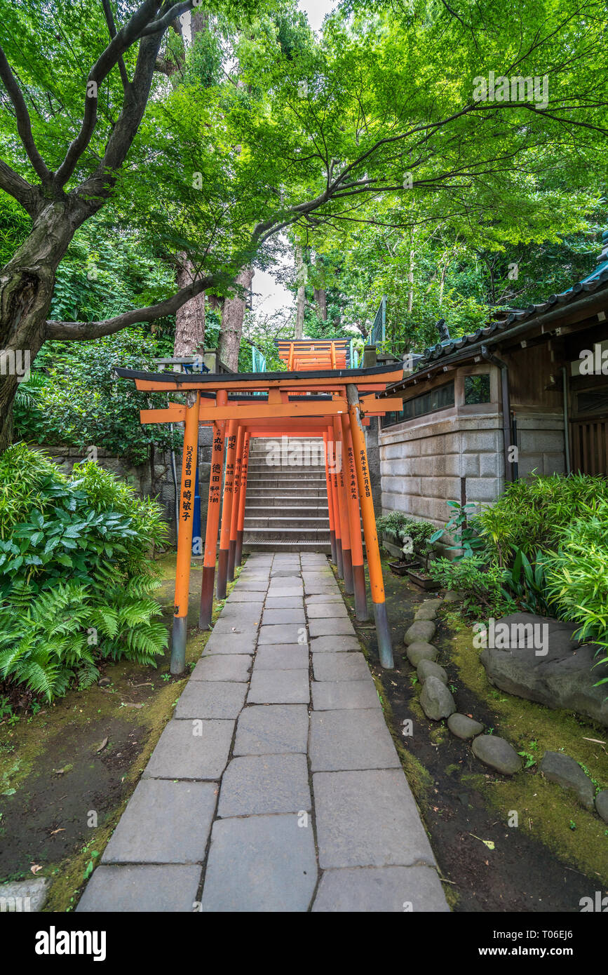 Tokyo - July 27, 2017: Path of Torii gates at Hanazono Inari Jinja ...