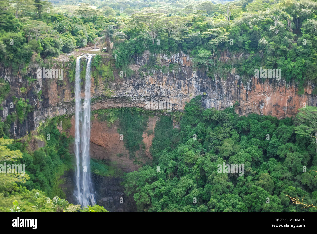 Mauritius jungle hi-res stock photography and images - Alamy