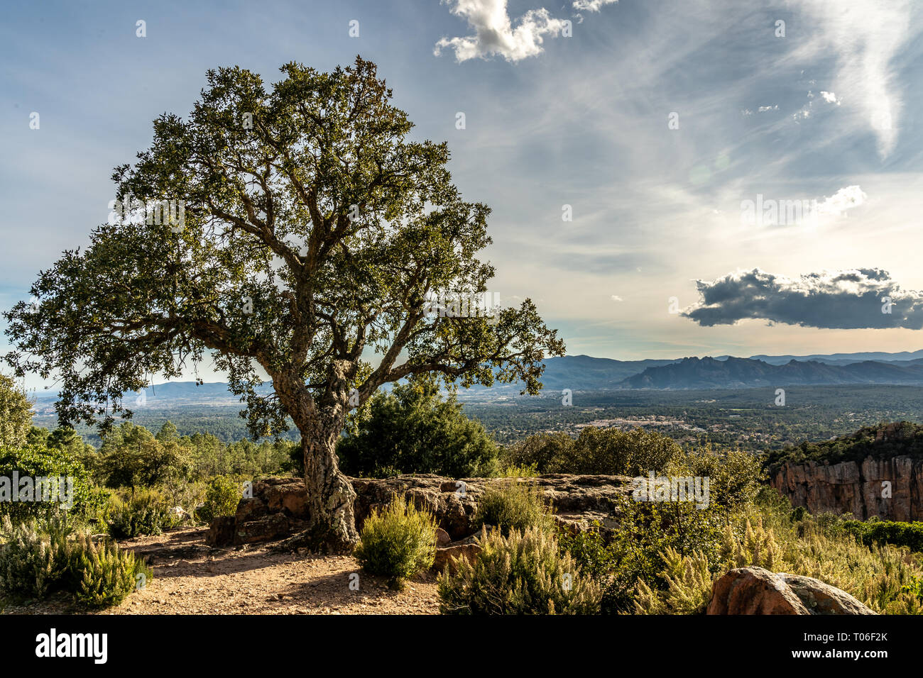 panoramic view on valley of roquebrune sure agens and frejus with cote ...