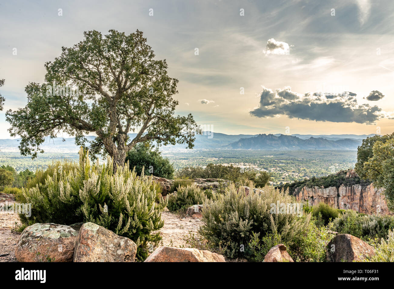 panoramic view on valley of roquebrune sure agens and frejus with cote ...