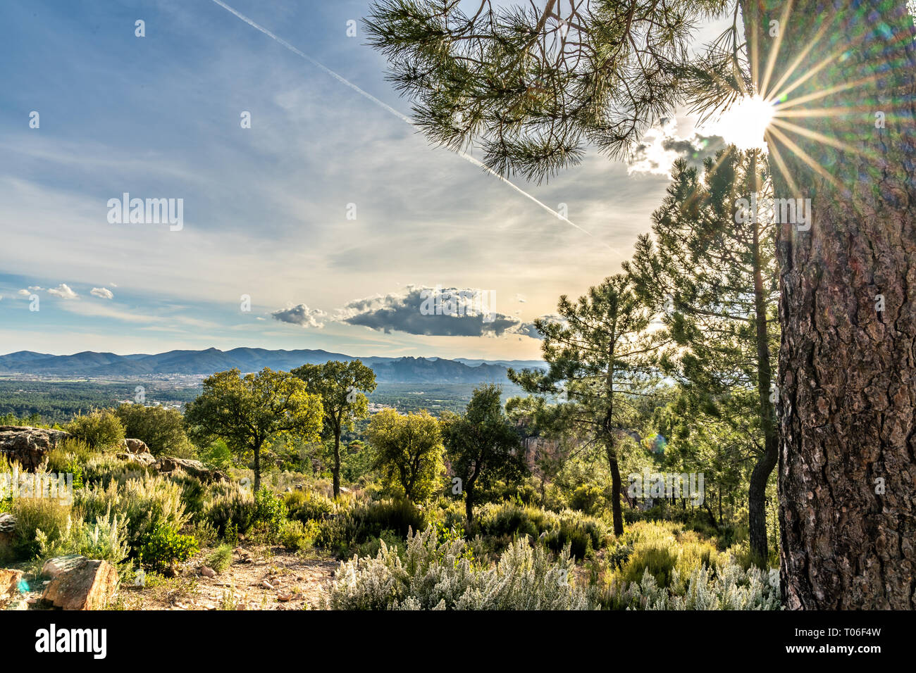 panoramic view on valley of roquebrune sure agens and frejus with cote ...