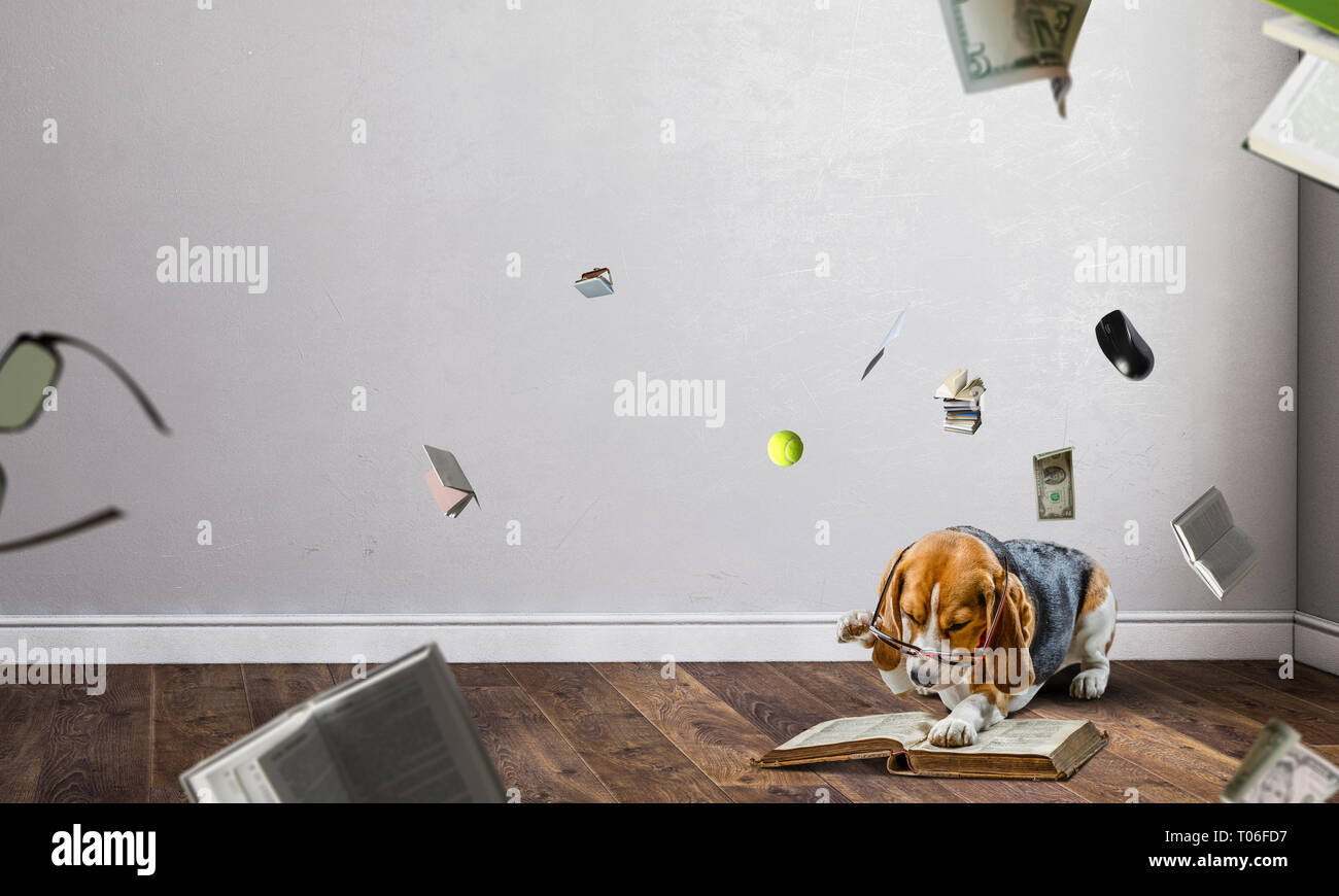 Dog study science. Mixed media Stock Photo - Alamy