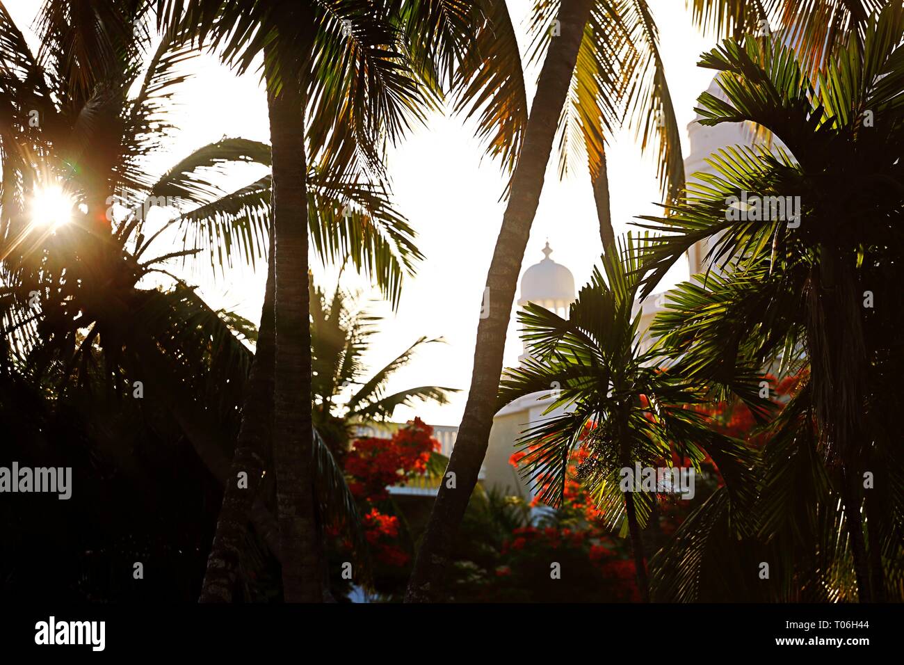 Hotel riu naiboa hi-res stock photography and images - Alamy