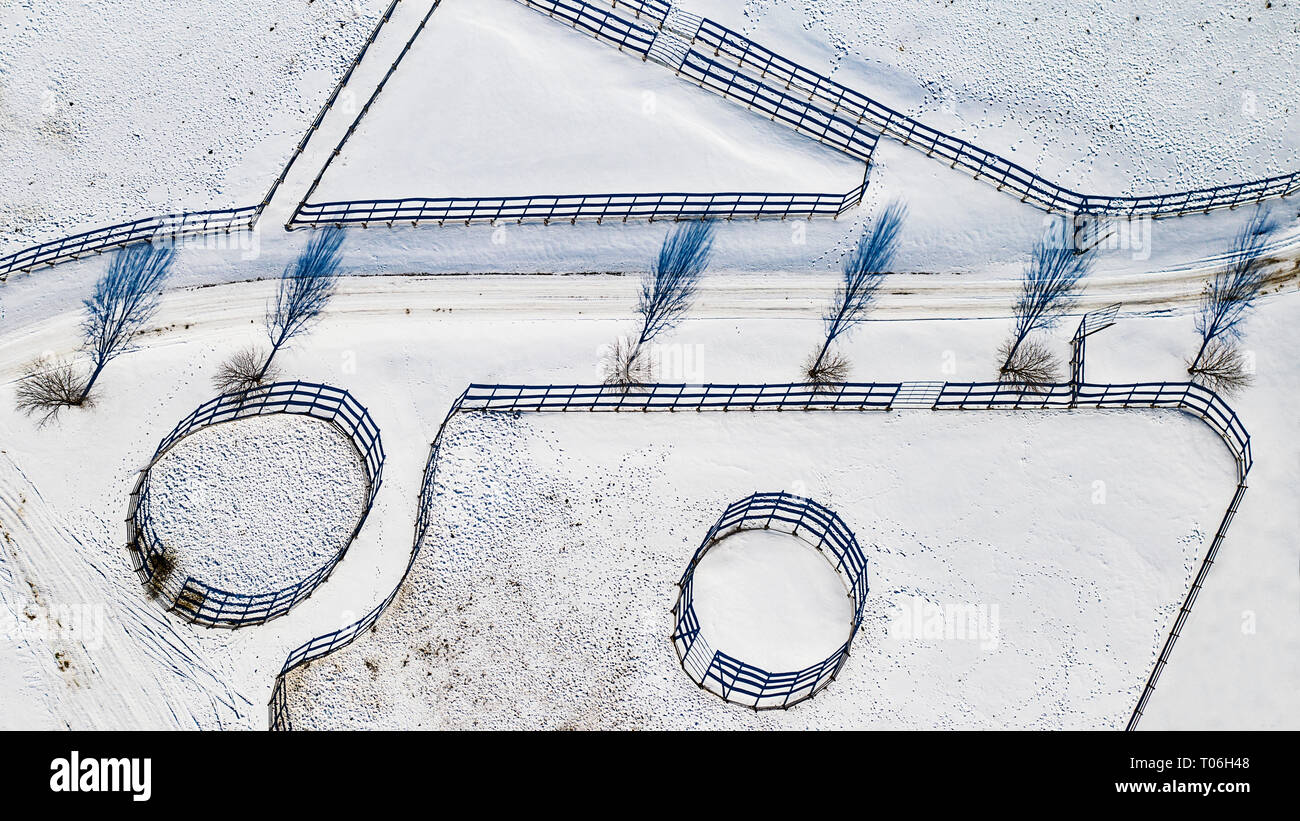 Drone tree lines hi-res stock photography and images - Alamy