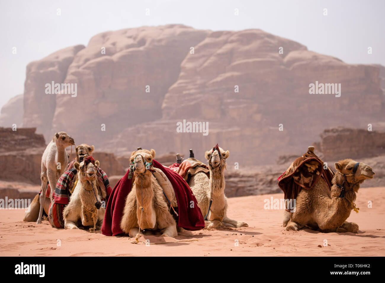 Middle east photography hi-res stock photography and images - Alamy