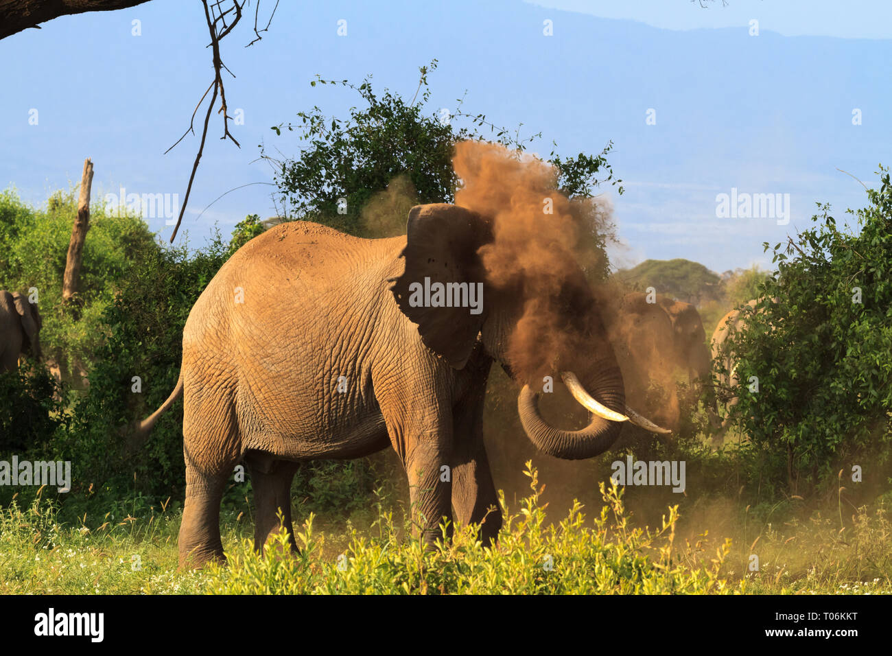 Dusty cloud hi-res stock photography and images - Alamy