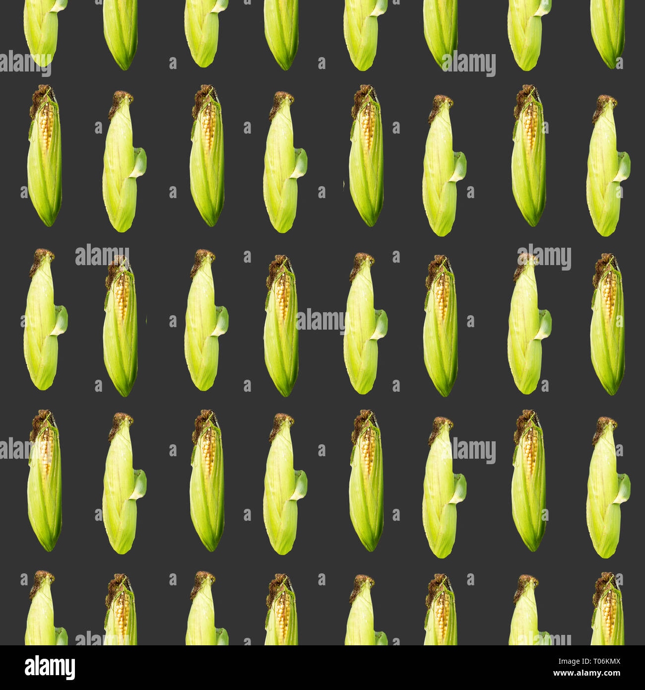 Raster seamless pattern. An ear of corn on a black background. Site ...