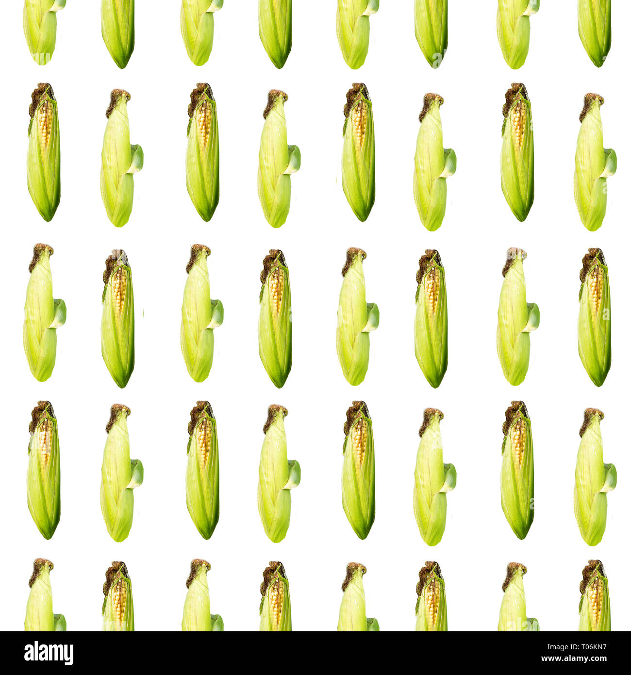 Raster seamless pattern. An ear of corn on a white background. Site ...