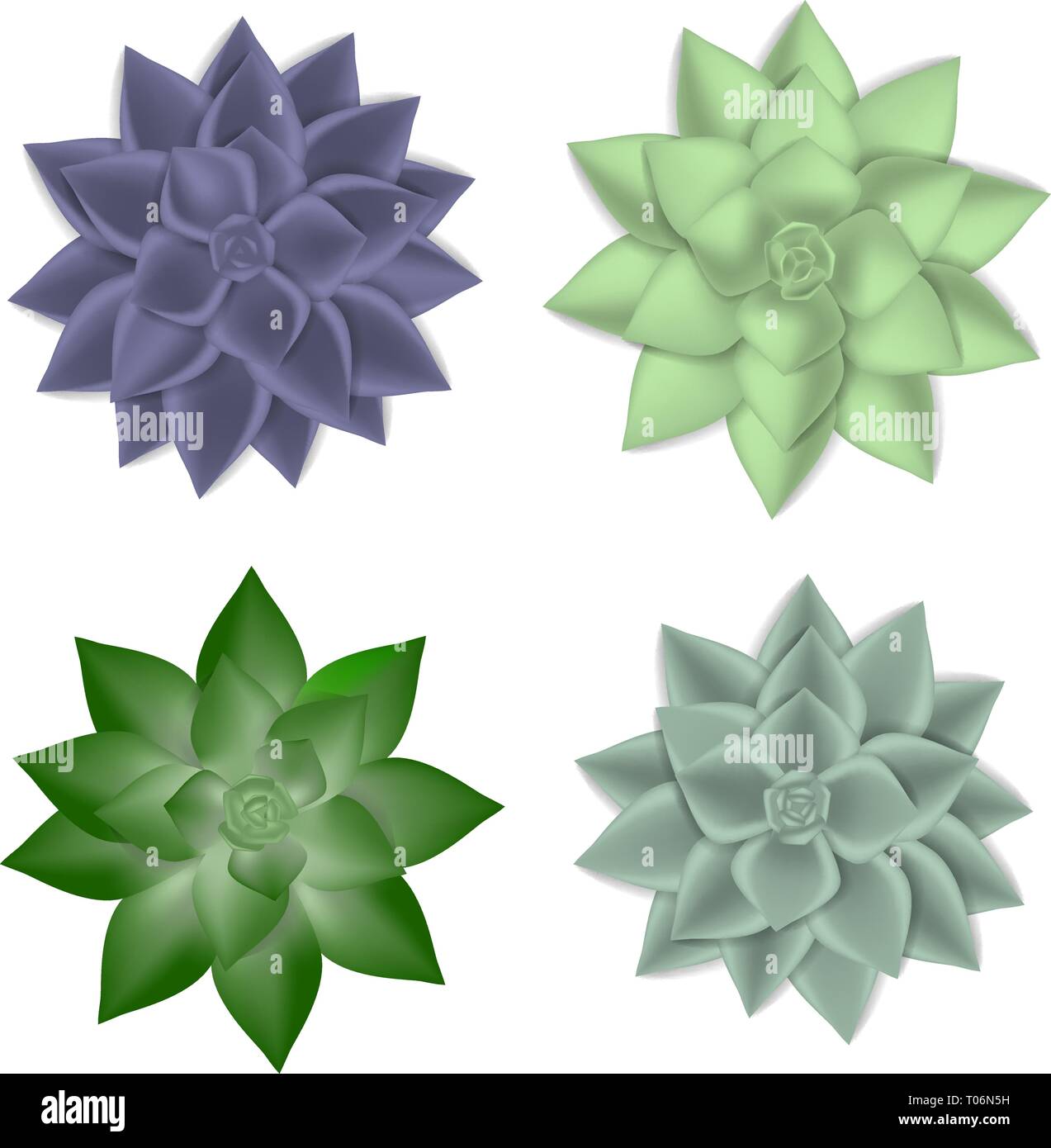Realistic 3d bouquet flowers Cut Out Stock Images & Pictures - Alamy
