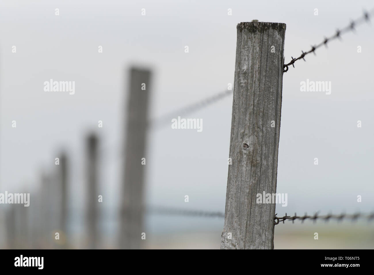 Old fence posts barbed wire hi-res stock photography and images - Alamy