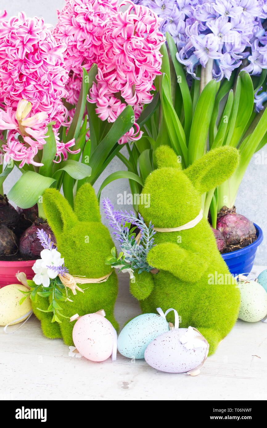 Bunnies in garden Stock Photo - Alamy