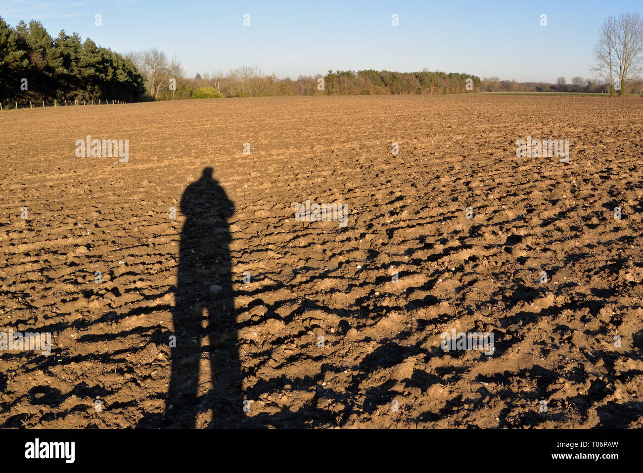 Setting sun casts a long shadow of a walker across a ploughed field in ...
