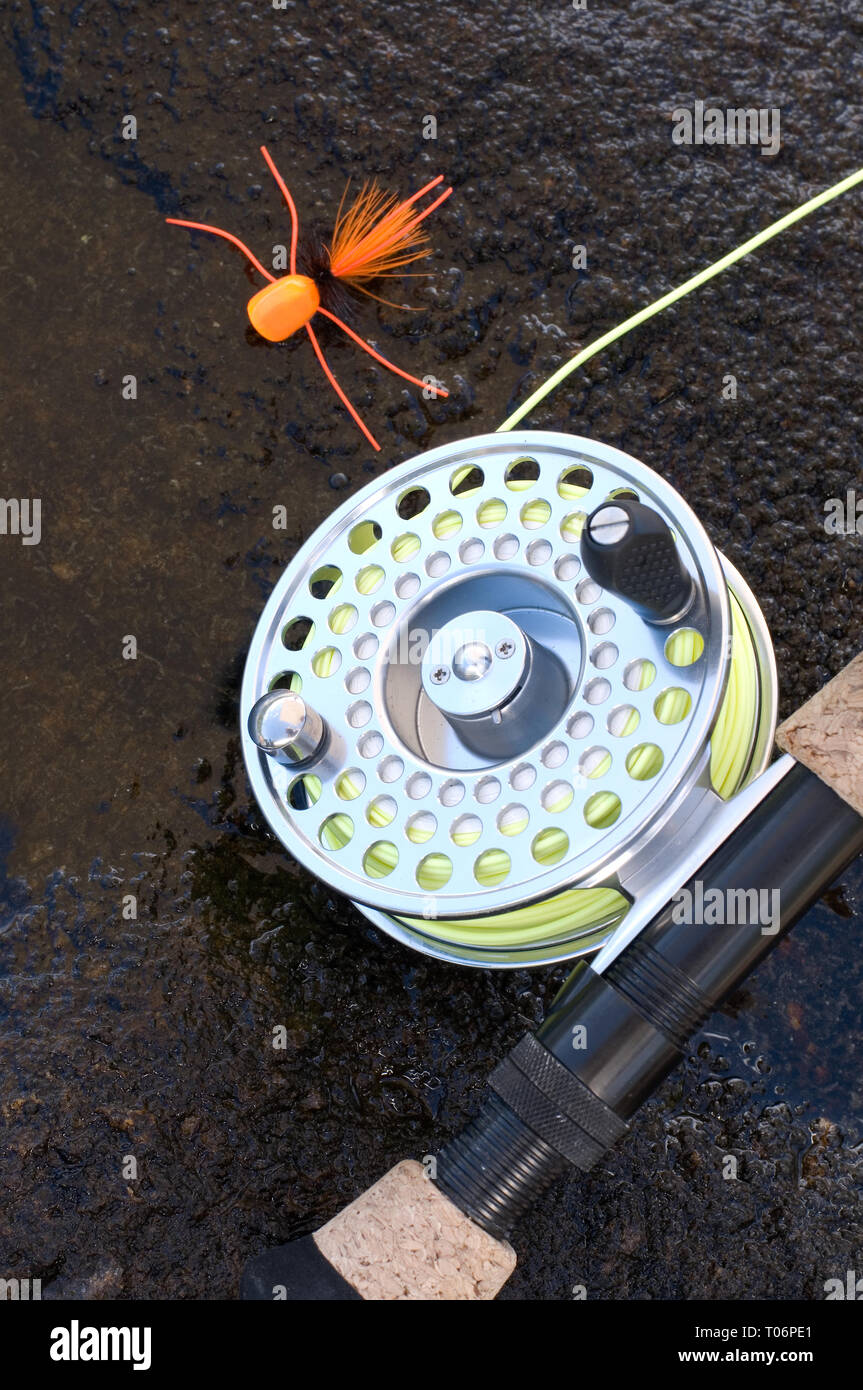 Spider on rocks hi-res stock photography and images - Alamy