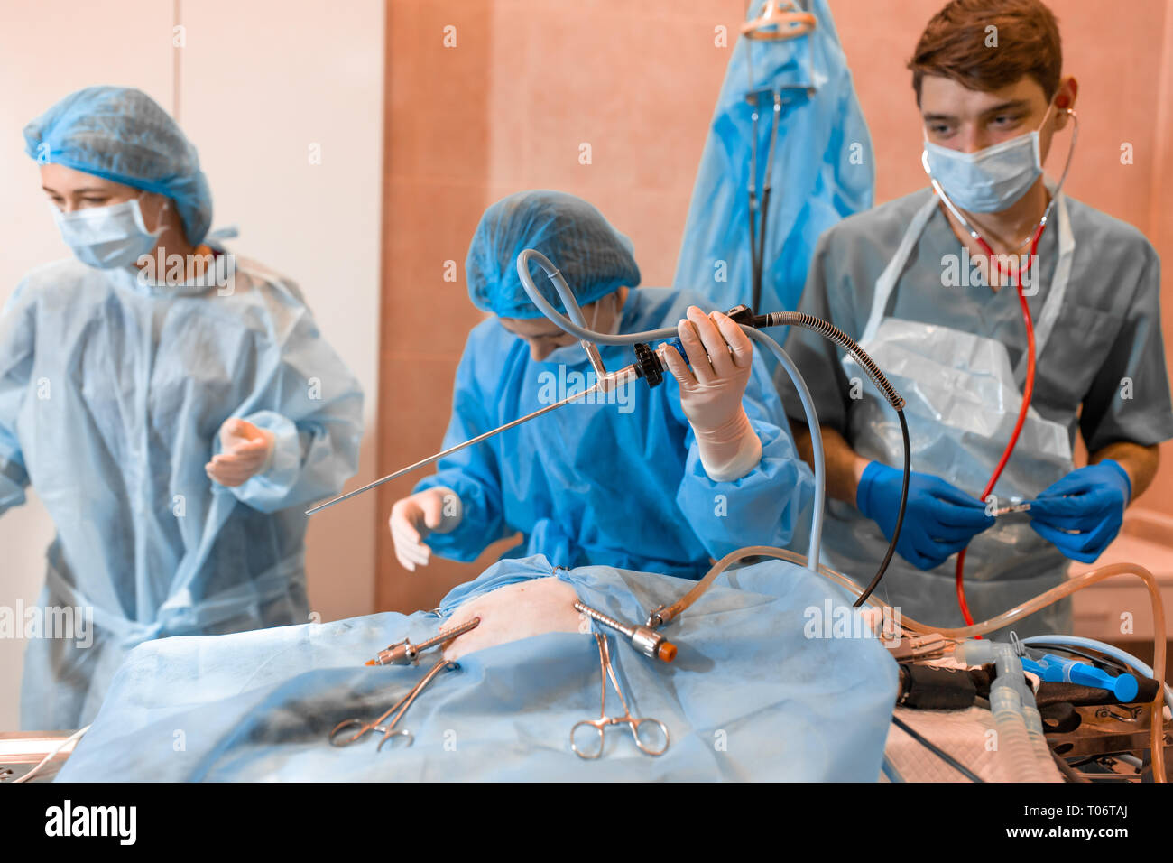 Cat On The Table High Resolution Stock Photography and Images - Alamy