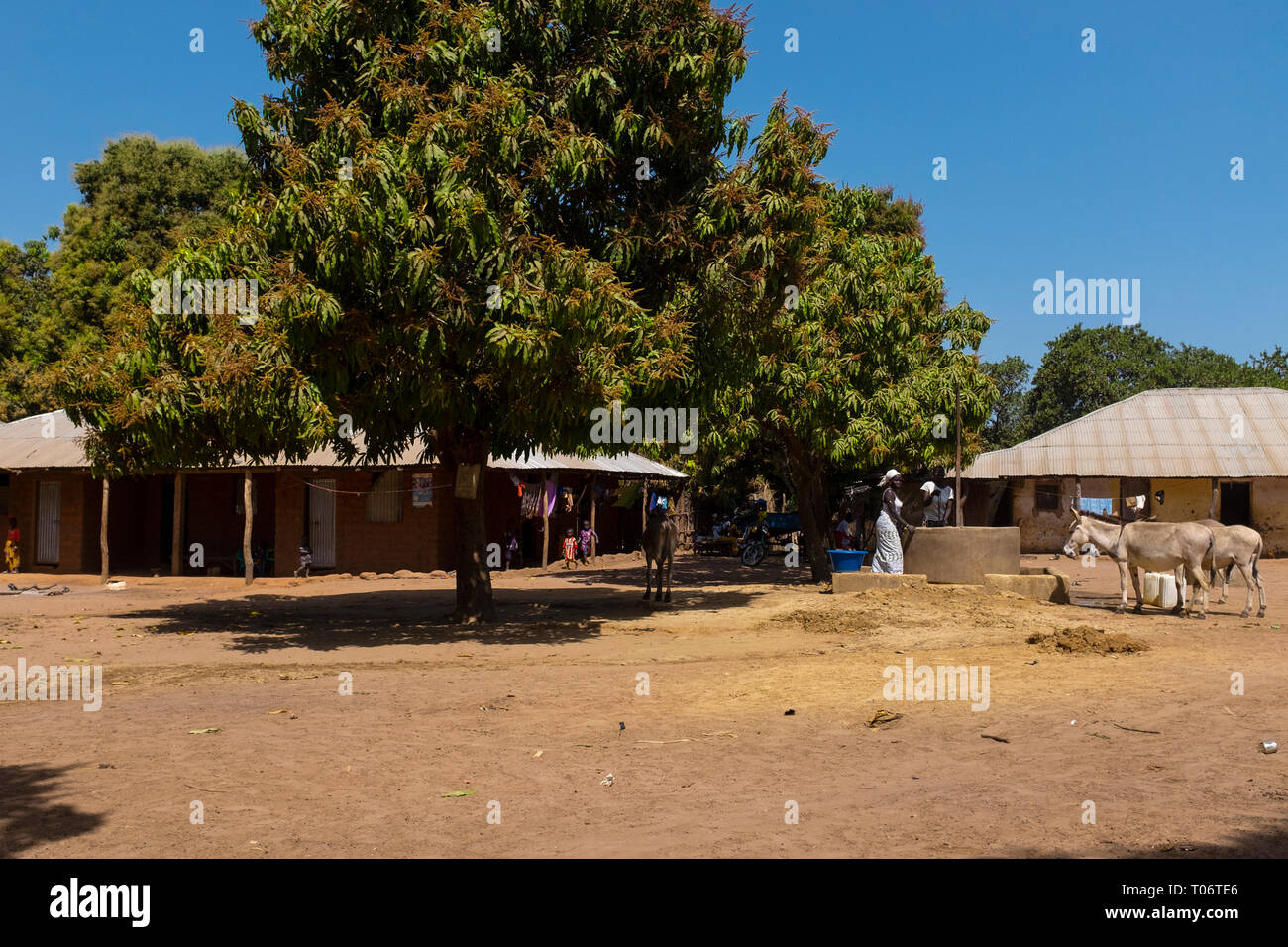 African children with a donkey hi-res stock photography and images - Alamy