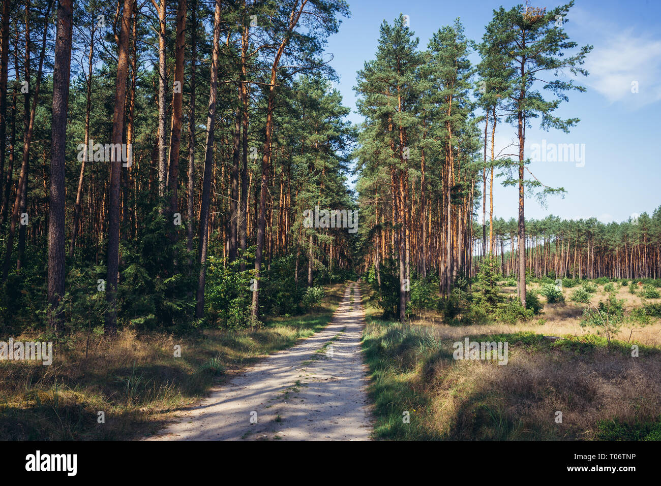 Sokole kuznica hi-res stock photography and images - Alamy
