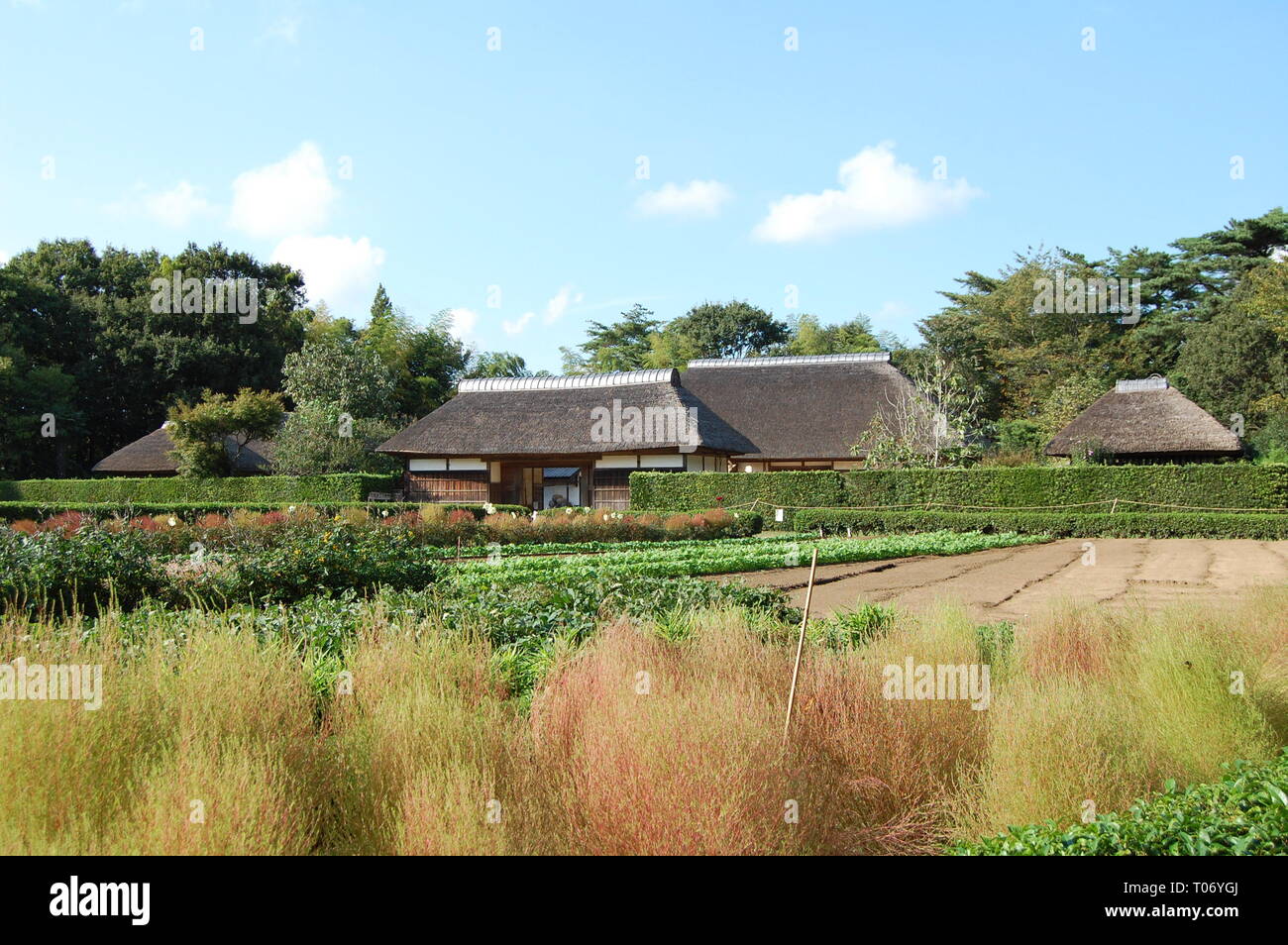 Japanese farming agriculture traditional hi-res stock photography and ...