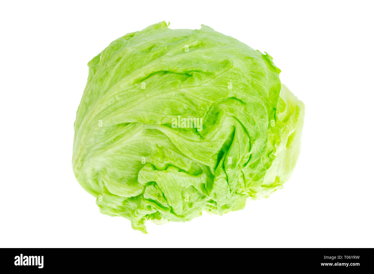 Iceberg lettuce head isolated on white background. Studio Photo Stock ...