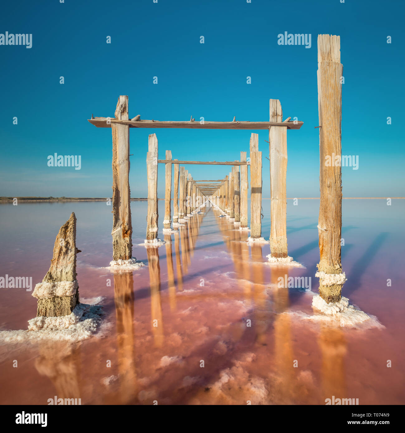 Amazing minimalistic landscape if real pink salt lake and natural salt ...