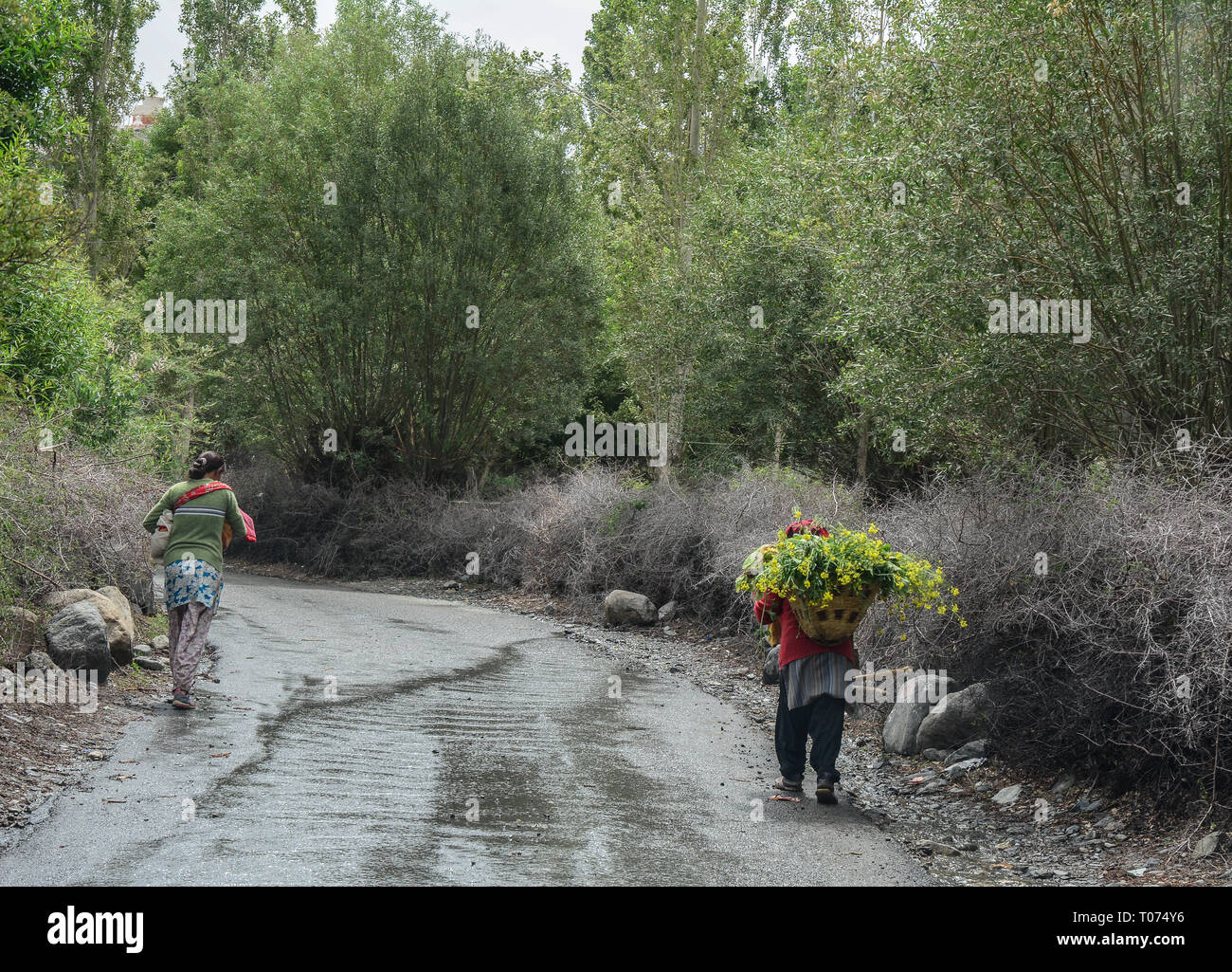 Tibetan people walking on rural road in Ladakh, India. Ladakh is the ...