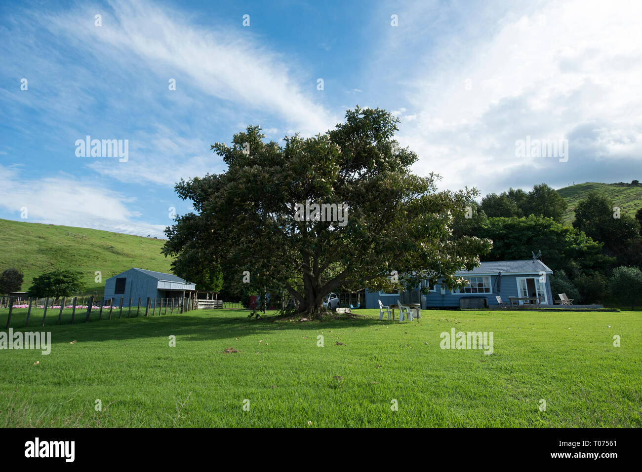 Aukland house hi-res stock photography and images - Alamy