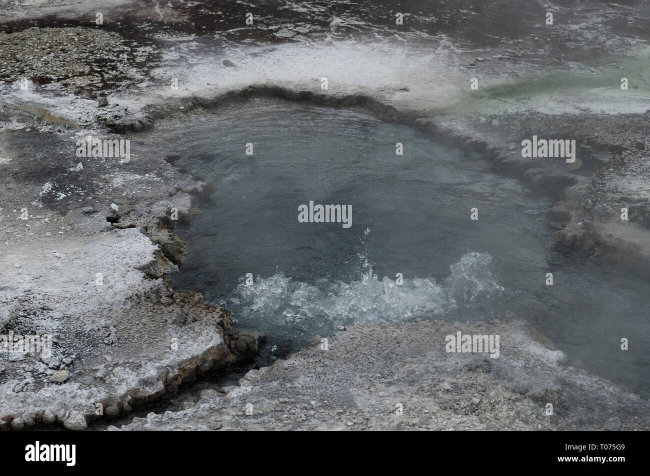 Boiling Water, from hot springs, Orakei Korako Cave and Thermal Park ...