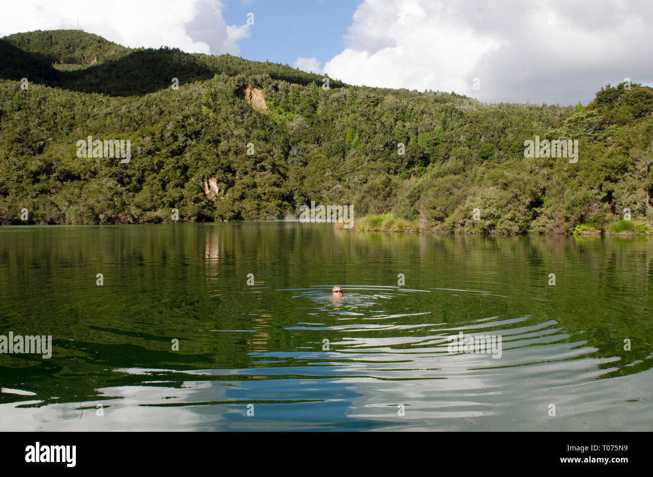 Geothermal Lake, Man in warm geothermal lake, Kerosene Lake, Rotorua ...