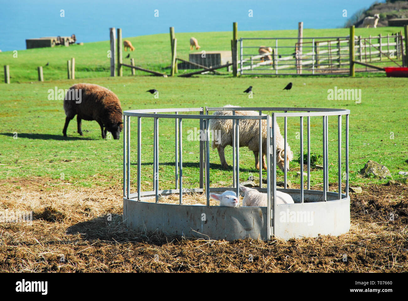 Portland prison dorset portland hi-res stock photography and images - Alamy