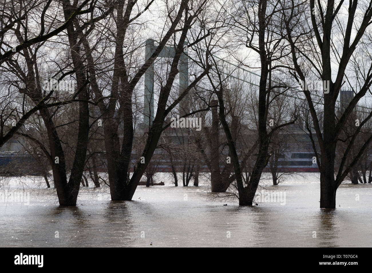 18 March 2019, North Rhine-Westphalia, Köln: A small flood wave of the ...