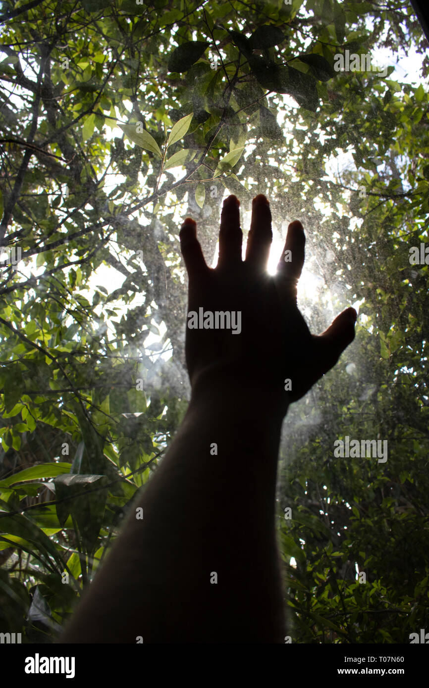 Hand in nature Stock Photo - Alamy