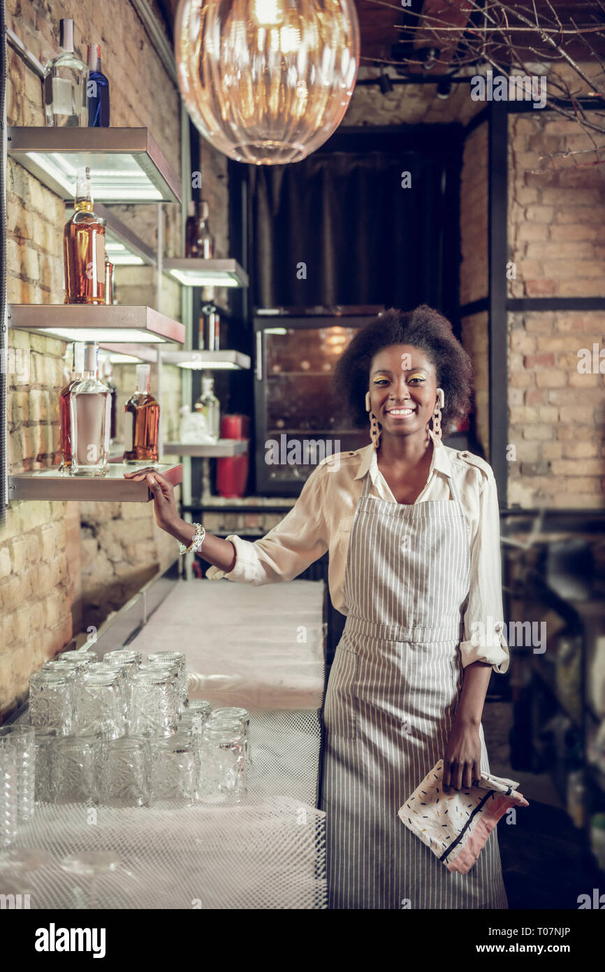 Lady bartender hi-res stock photography and images - Alamy
