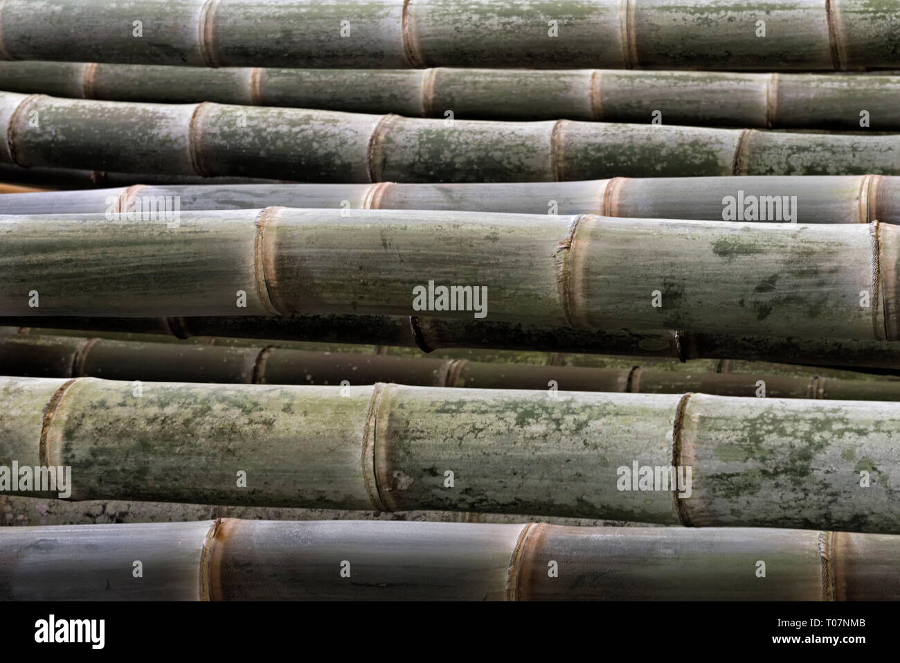 Bamboo decoration hi-res stock photography and images - Alamy
