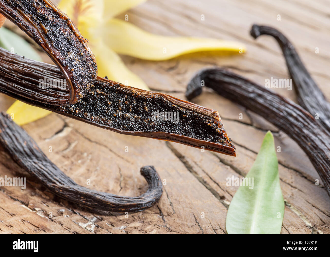 Dried vanilla fruits and vanilla orchid on wooden table. Close-up Stock ...