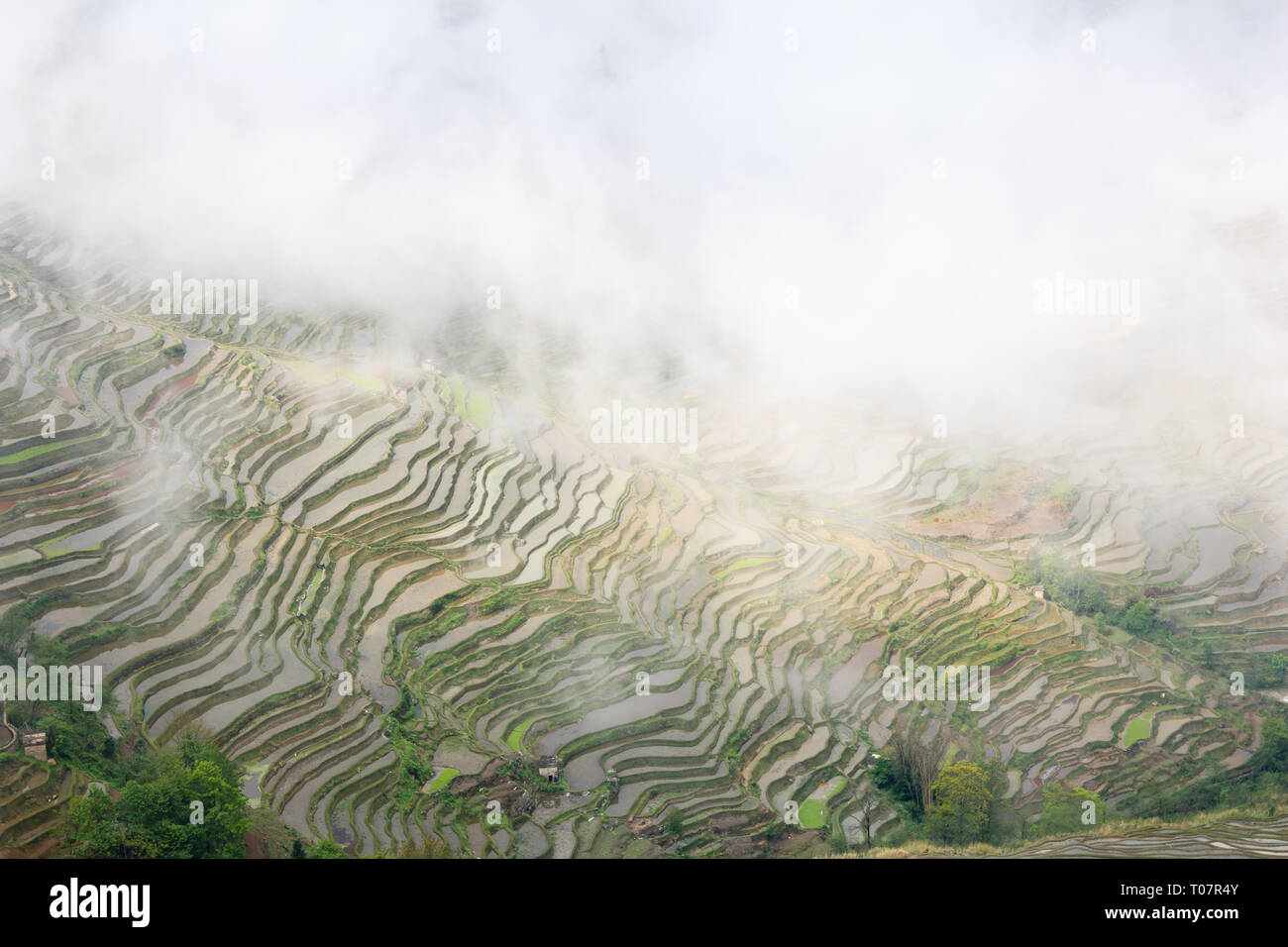Bana scenic spot in Yuanyang rice terraces in Yunnan province Stock ...