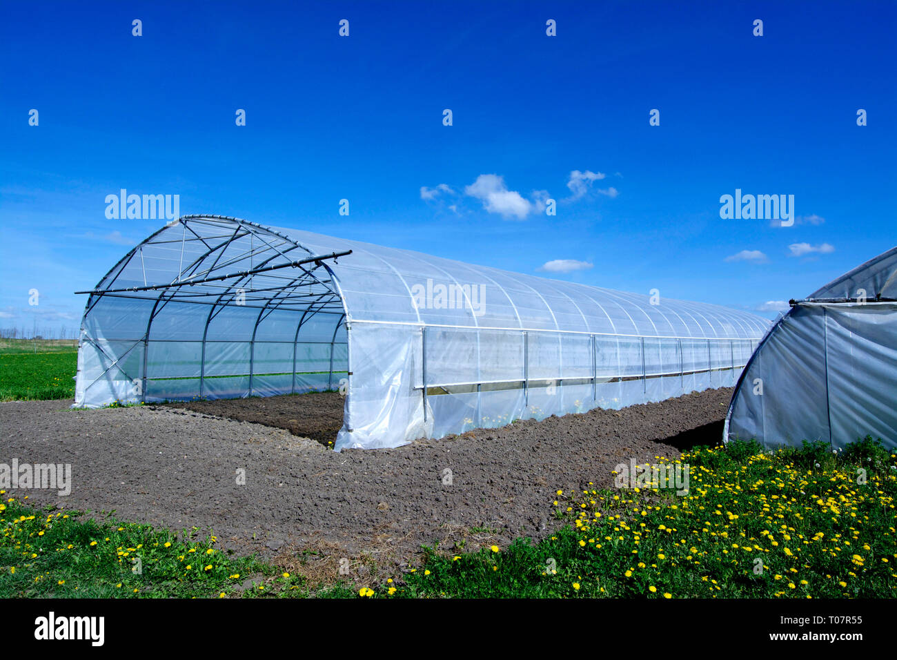 Polytunnels hi-res stock photography and images - Alamy