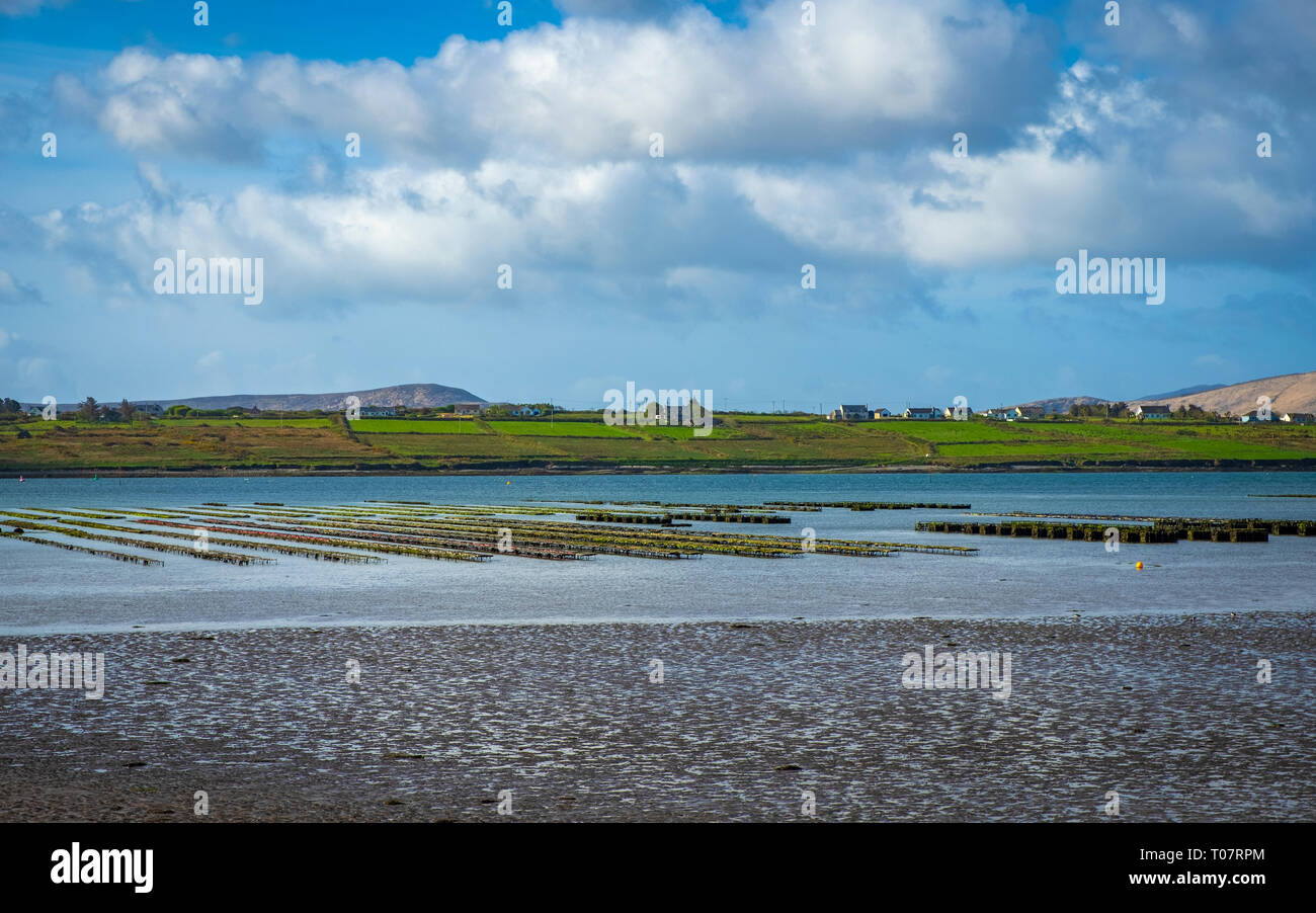 Ballycarberry Castle near Cahersiveen, Co Kerry, Ireland Stock Photo ...