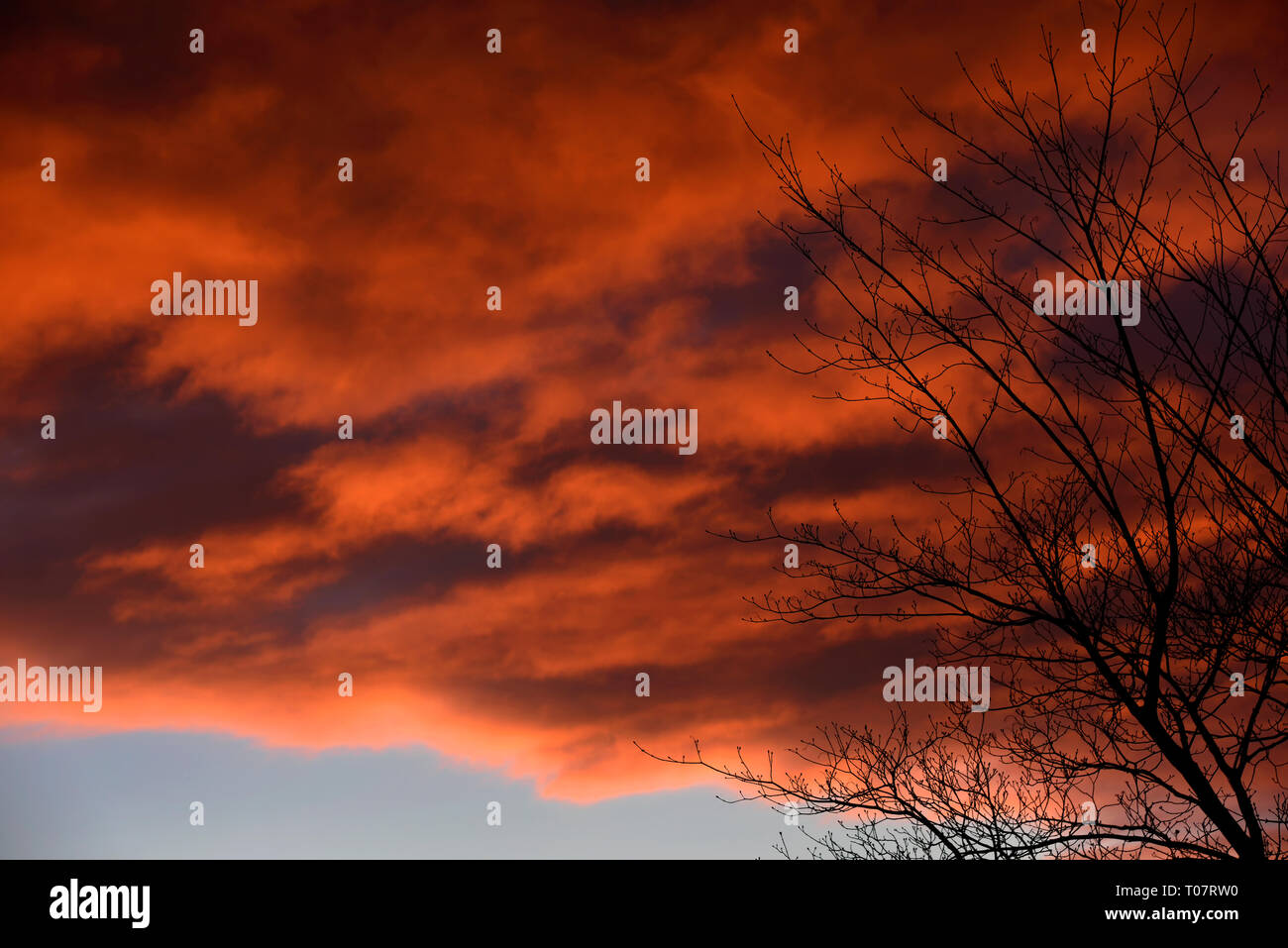 Weather red zone hi-res stock photography and images - Alamy
