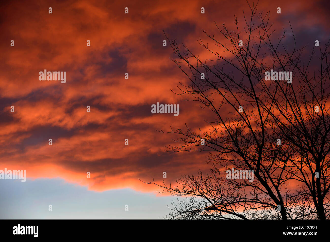 Weather red zone hi-res stock photography and images - Alamy