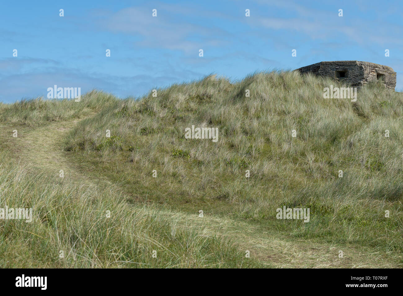 Norfolk WW2 defence bunker Stock Photo - Alamy