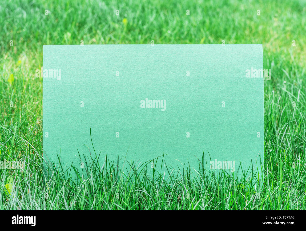 Green paper blank on the green grass. Green grass as a frame Stock ...
