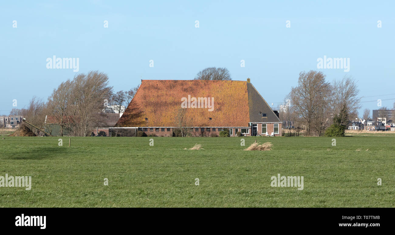 Old dutch farm in the north part of the Netherlands Stock Photo - Alamy