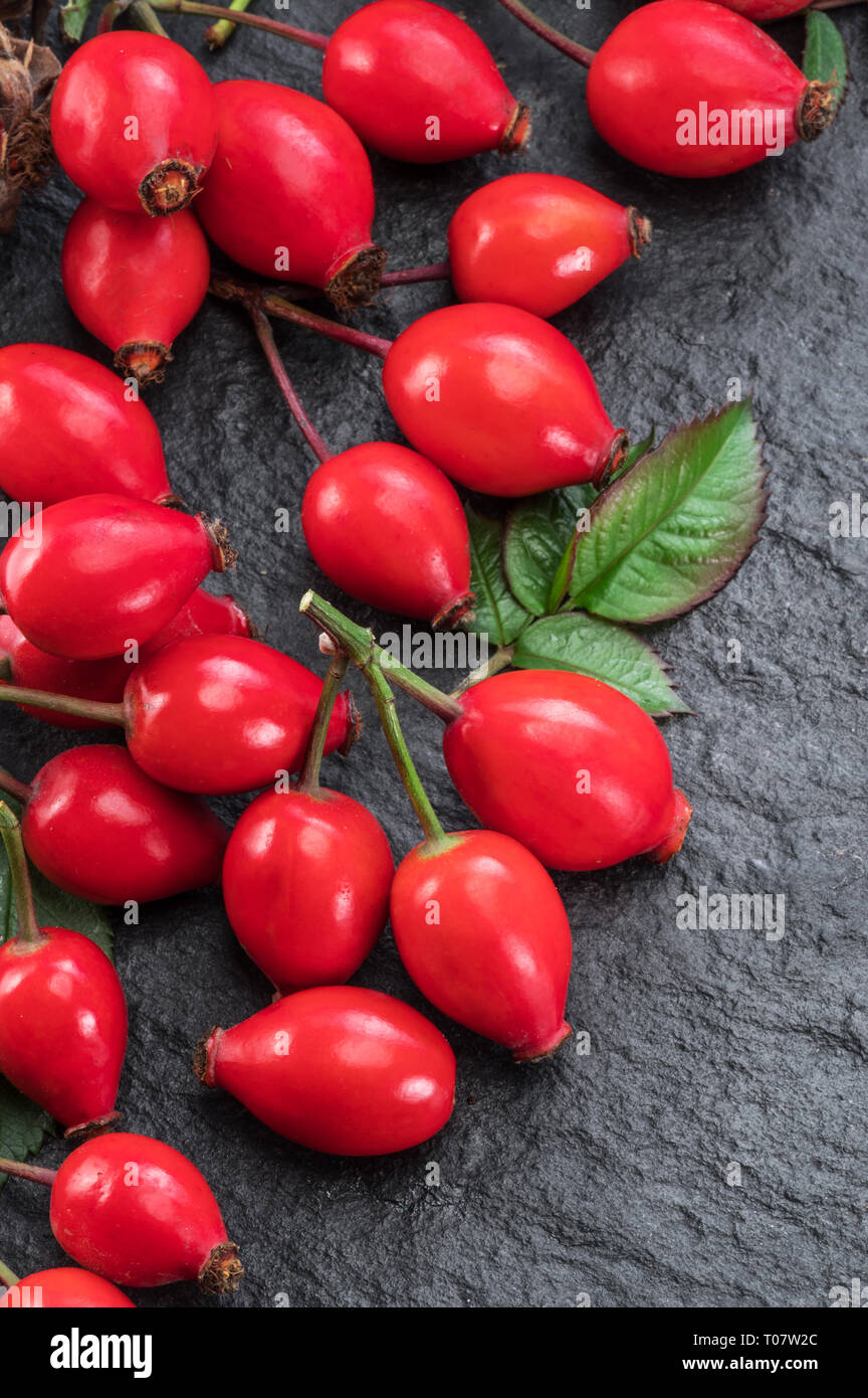 Red ripe rose-hips on gray graphite background. Top view Stock Photo ...