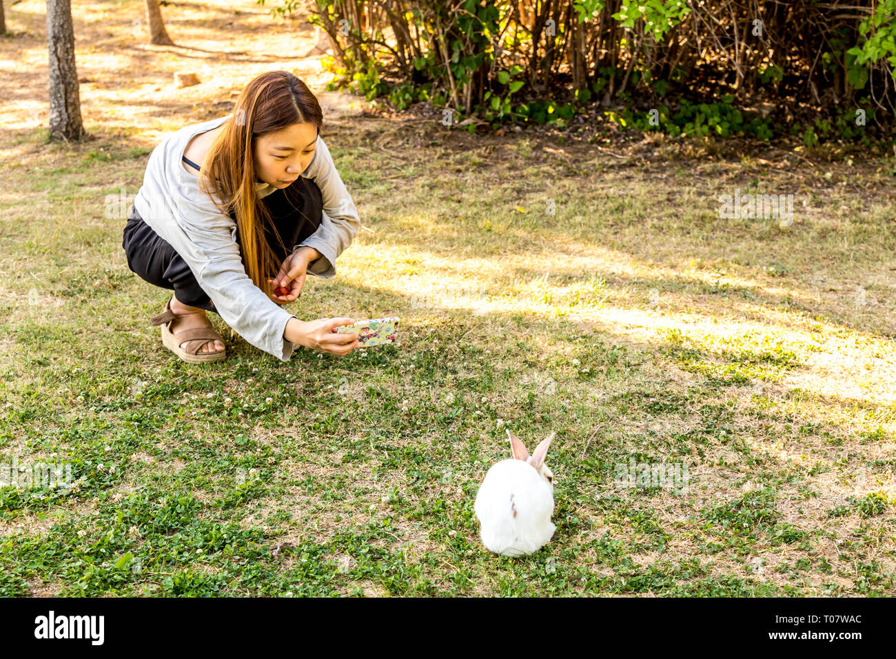 Mammals Of Korea High Resolution Stock Photography and Images - Alamy